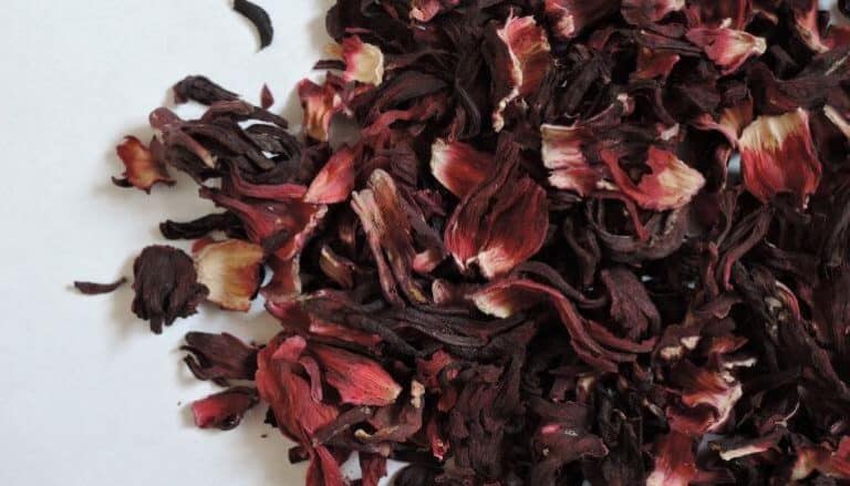 10 Of The Best Hibiscus Tea Brands To Try In 2023 – Tea In Abstraction