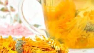 Unlocking Nature's Secrets: Exploring the Exquisite Taste of ...