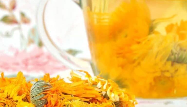 Unlocking Nature's Secrets: Exploring the Exquisite Taste of ...