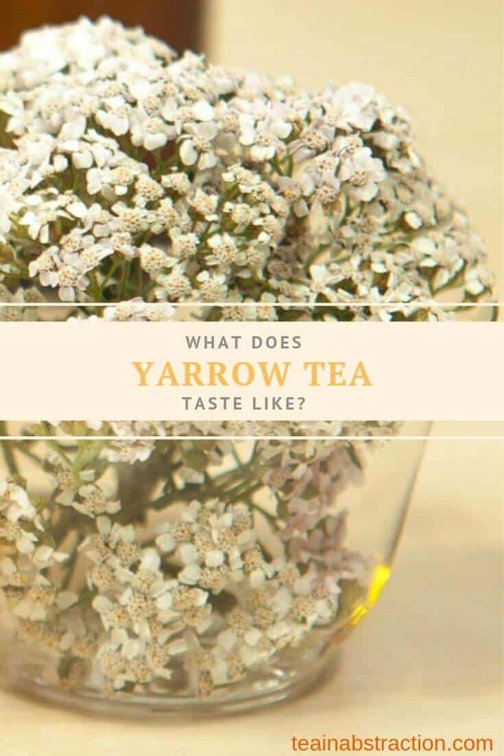 What Does Yarrow Tea Taste Like? - Tea In Abstraction