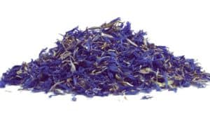 What Is Blue Tea – Benefits, FAQ, Preparation, Everything You Need To ...