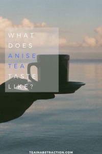 What Does Anise Tea Taste Like? – Tea In Abstraction